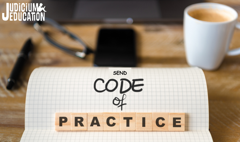 School/Trust Leaders: The SEND Code of Practice - Putting Guidance into ...