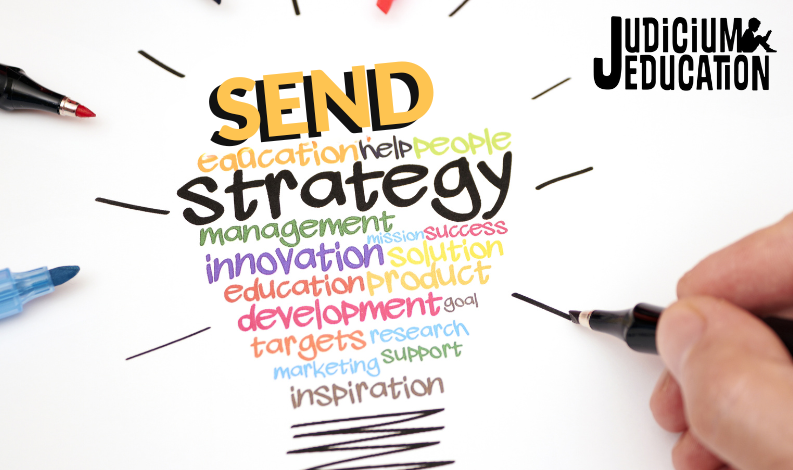 School and Trust Leaders: SEND Strategy 2024-25
